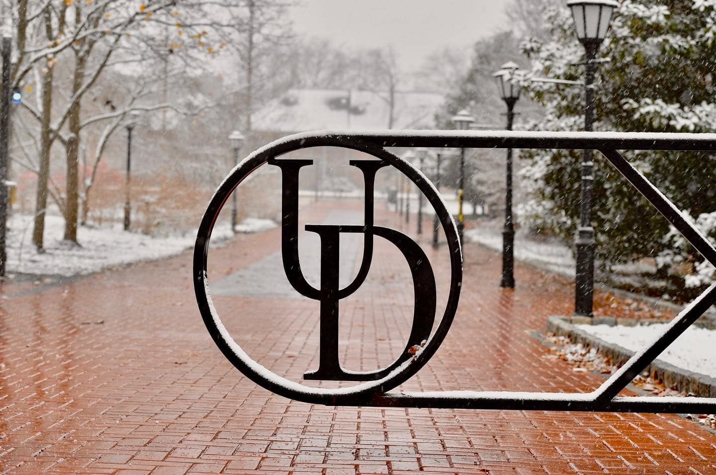 Office of Academic Enrichment Winter Session | The Blue Hen Family Hub
