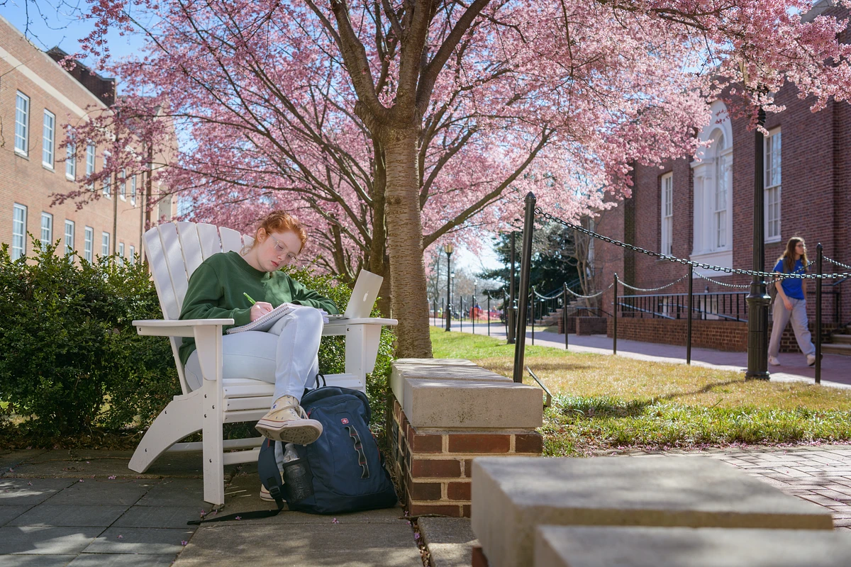 Celebrate the Start of Spring Semester | The Blue Hen Family Hub